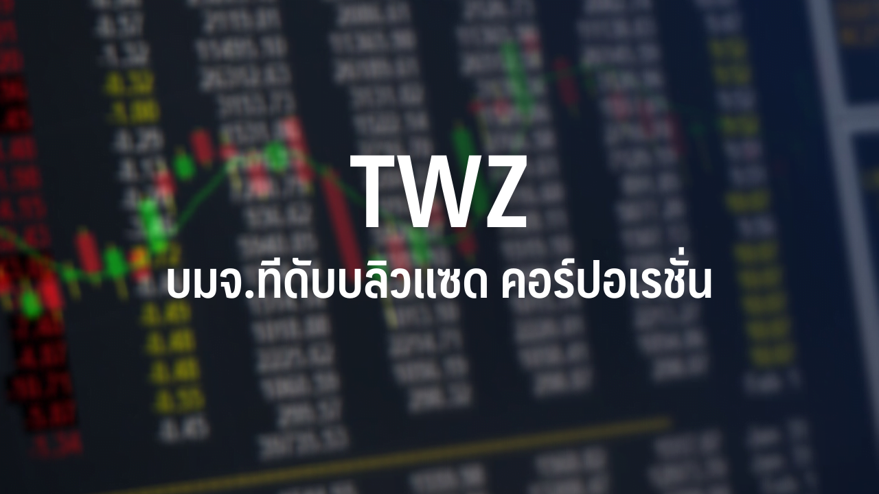 TWZ พลิกธุรกิจรุกรถยนต์ไฟฟ้า-ปล่อยสินเชื่อ-ศึกษาร่วมทุน รง.ถุงมือยาง ...