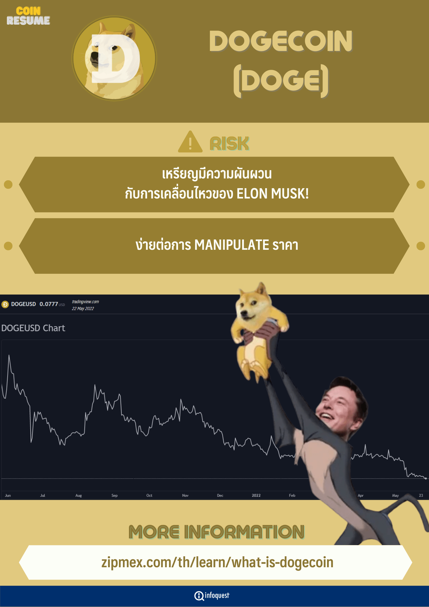 Coin Resume - Dogecoin (DOGE) : สำนักข่าวอินโฟเควสท์