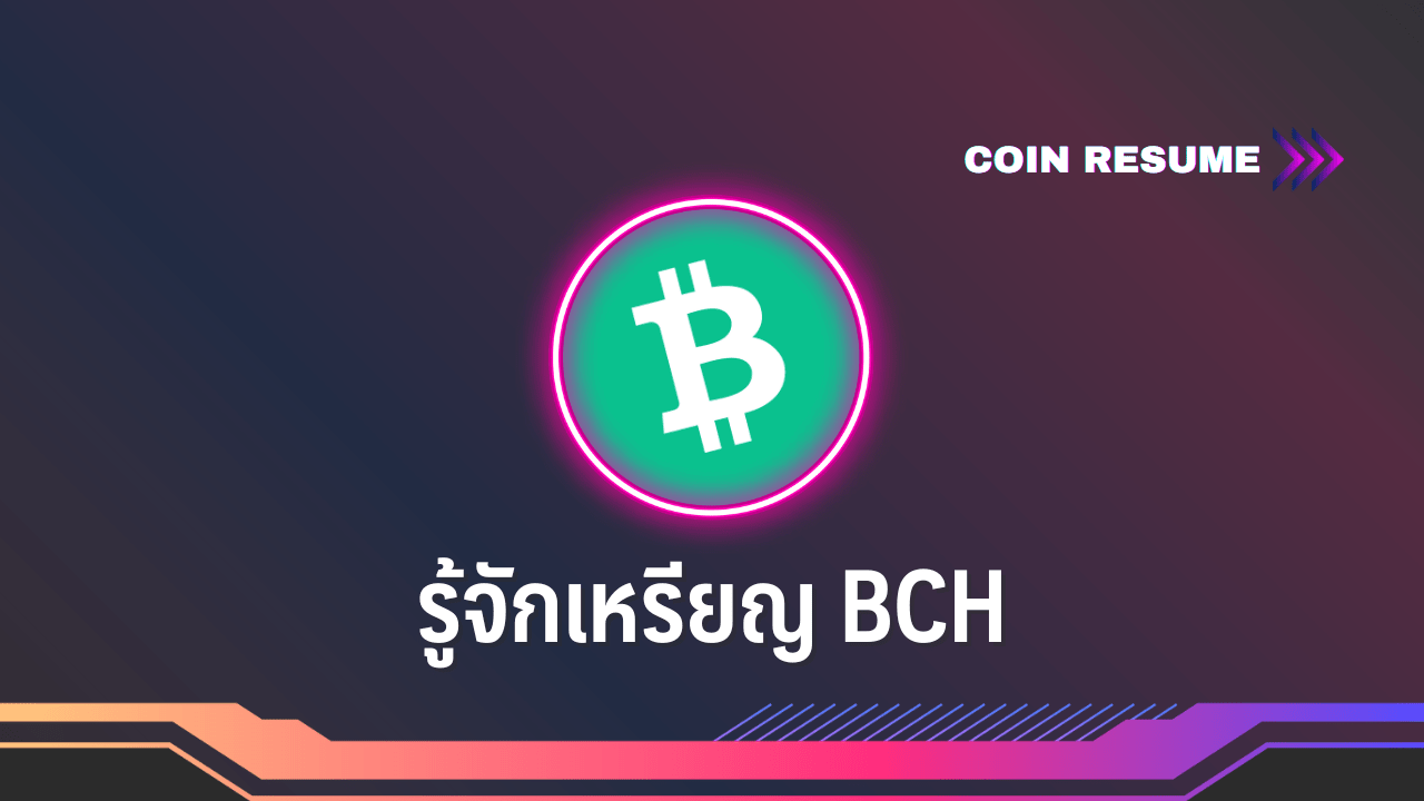 COIN RESUME: รู้จักเหรียญ BCH : อินโฟเควสท์