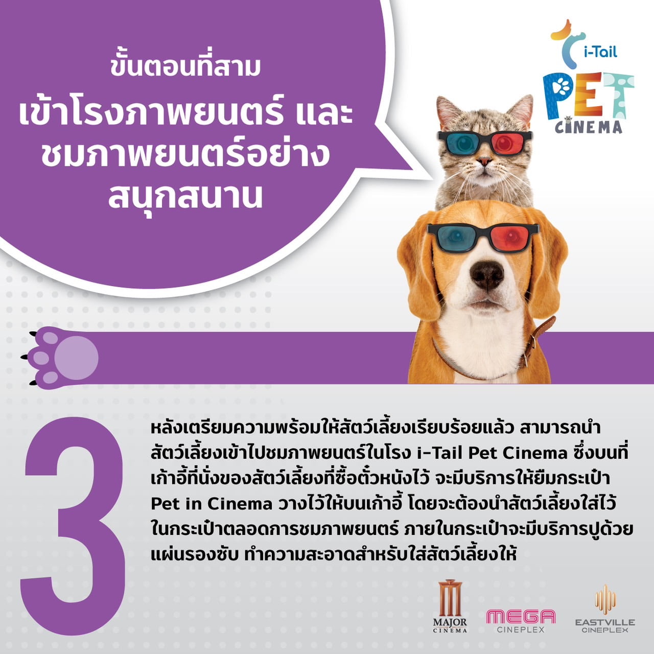 น้องหมา-น้องแมวเข้าโรงหนังได้แล้ว MAJOR-ITC เปิดตัว "i-Tail PET CINEMA ...