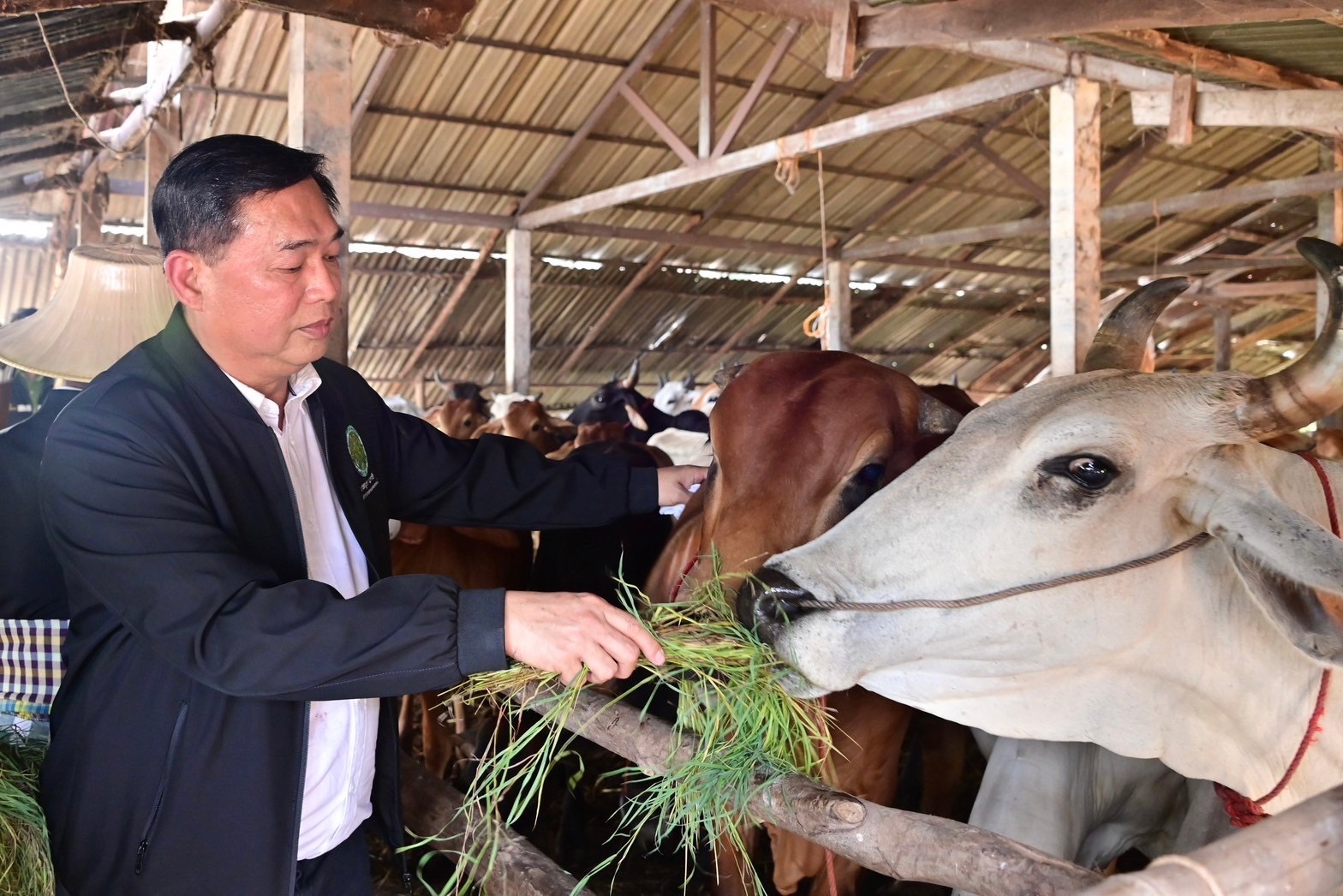 รัฐบาลแนะทำเกษตรตาม Agri-Map สร้างรายได้เพิ่ม 10 เท่าตัว : อินโฟเควสท์