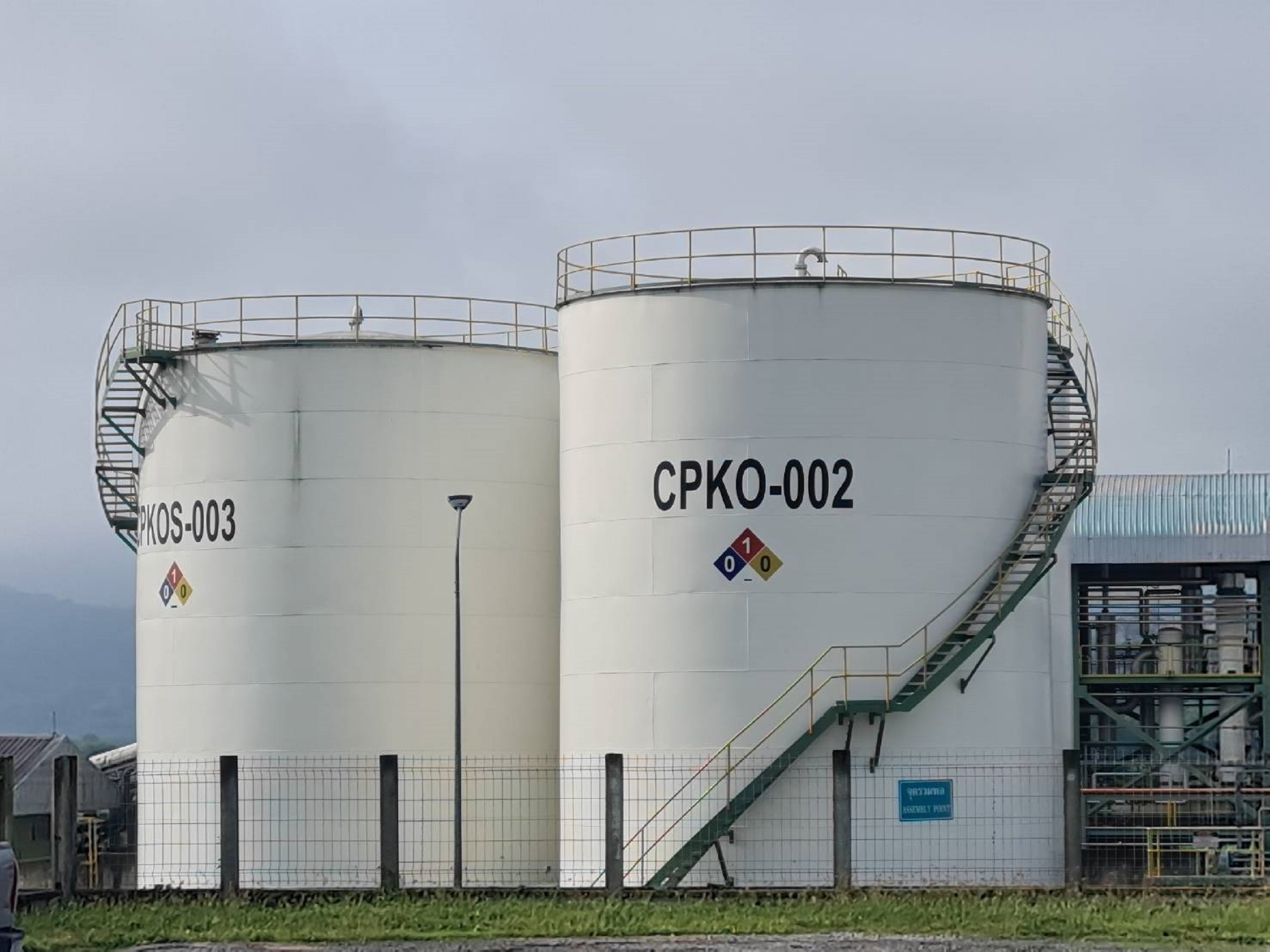 TEGH ส่งซิกครึ่งปีหลังโดดเด่นยาง EUDR หนุนปีนี้โตแรงคาดยอดขายยางแท่งโต 20% : อินโฟเควสท์